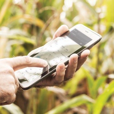 Grain Management - A.N. Martin Systems